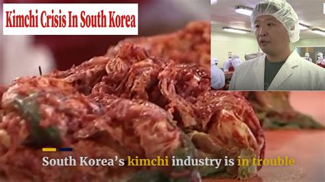 Kimchi Crisis South Korea Hopes To Boost Kimchi Industry With Cabbage