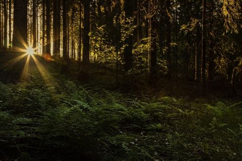 Celtic Paganism Exploring The Ancient Spiritual Traditions Of The