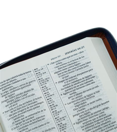 Santa Biblia NTV Edicion Ziper Con Referencias Letra Grande