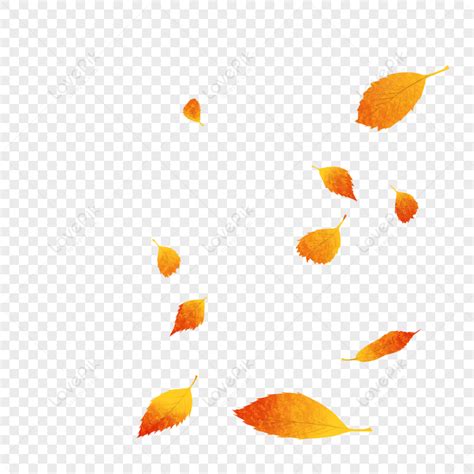 Folhas Caídas PNG Imagens Gratuitas Para Download Lovepik