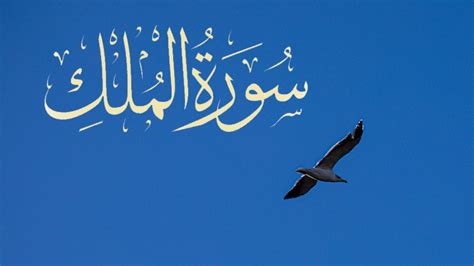 Surah Al Mulk With Quran Visualization Beautiful Quran Recitation