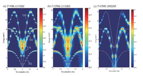 color online logarithmic contour plots of dynamical structure factor download scientific