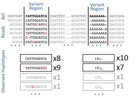 Cracking Genetic Ciphers The Secondary Ngs Analysis Pharmafeatures