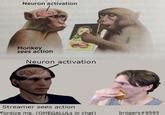 Neuron Activation Monkey Sees Action Neuron Activation Know Your Meme