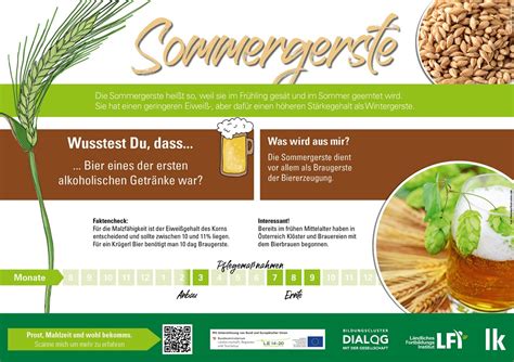 Sommergerste Kulturinfo Landwirtschaftliches Wissen Im Querformat