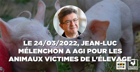 Face à Konbini Jean Luc Mélenchon se prononce contre l élevage