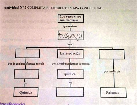 Solved Por Favor Resuelvan Este Mapa Conceptual Lo Necesito Para Hoy