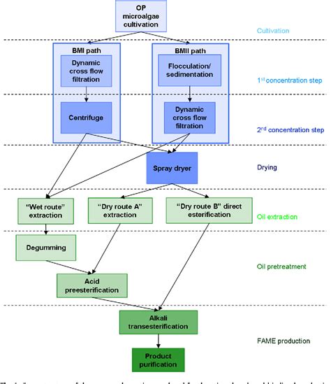 figure 1 from microalgae based biodiesel a multicriteria analysis of the production process