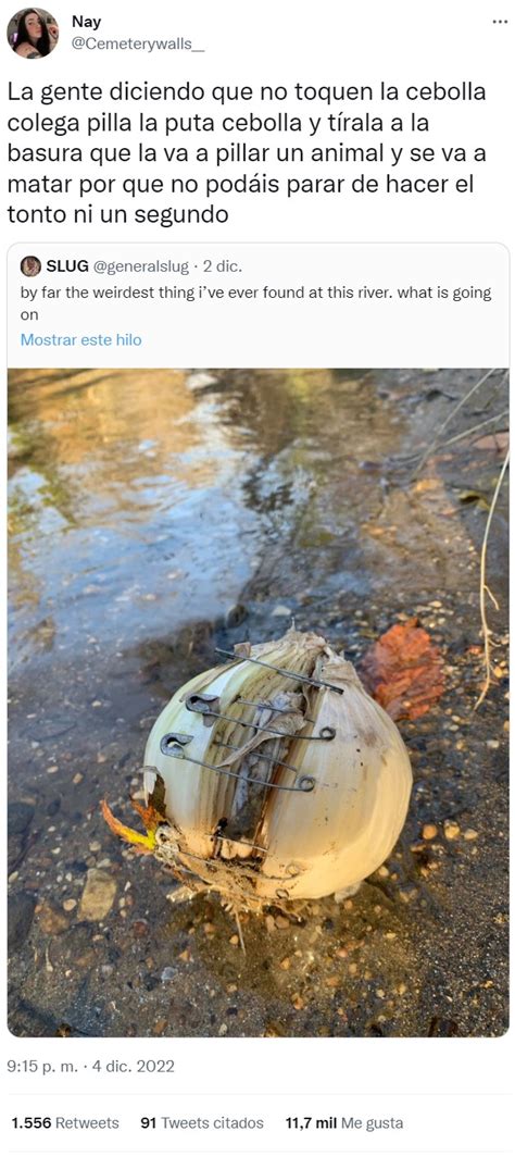 Ni se te ocurra tocar la cebolla ESTÁ EMBRUJADA