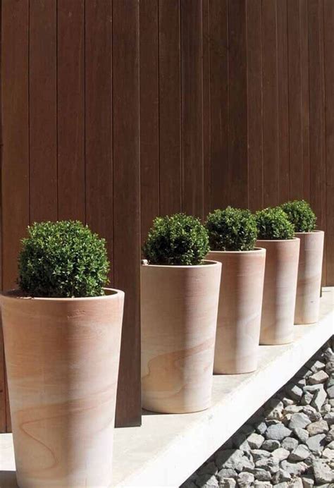 Vasos Decorativos Modelos Como Escolher E Onde Colocar Potted