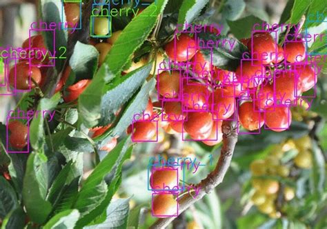 improved yolo v4 to detect cherry images download scientific diagram