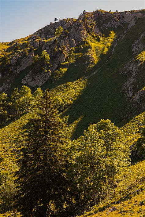 Wallpaper Photography Outdoors Trees Forest Nature Mountains