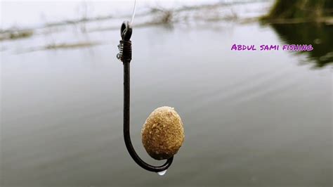 Best Hook Fishing Fisher Man Catching The Rohu Fishes In Krishna River