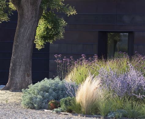 Gossamer Gardens 12 Ideas For Landscaping With Mexican Feather Grass