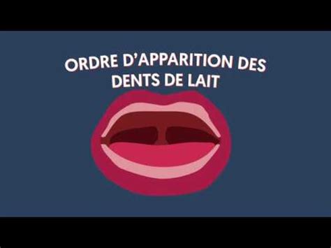 Ordre D Apparition Des Dents De Lait YouTube