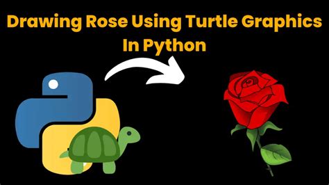 drawing rose using python codewithcurious