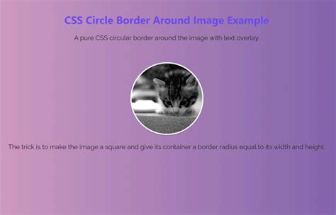 easy way to draw css circle border around image
