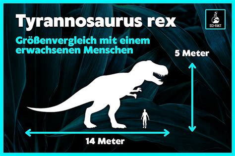 T Rex Steckbrief 10 Fakten über Tyrannosaurus Dinosaurier