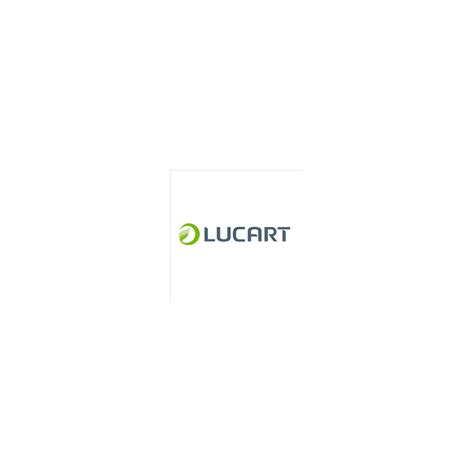 Rola Prosop Hartie Lucart EcoNatural L One Maxi