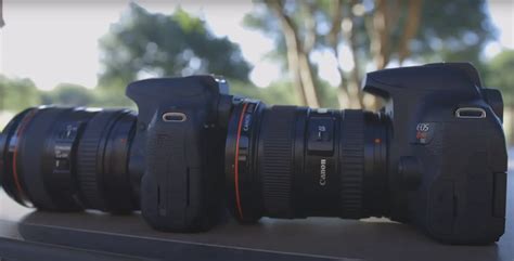 Canon EOS Rebel T7i Vs T8i Which Is Better FotoProfy