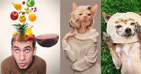 Stock Photo Site Shares Its Strangest Searches And Weirdest Images