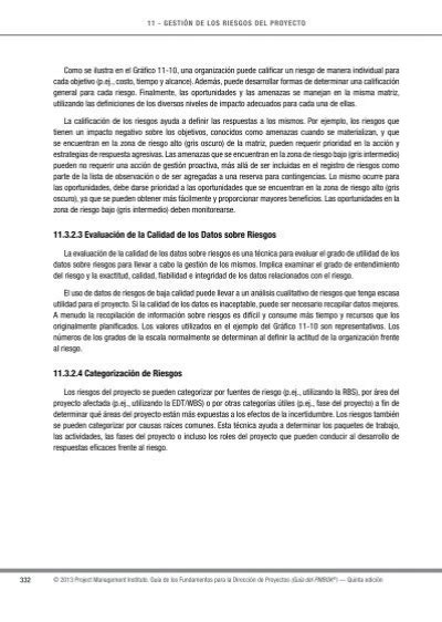 11 GESTIÓN DE LOS RIES