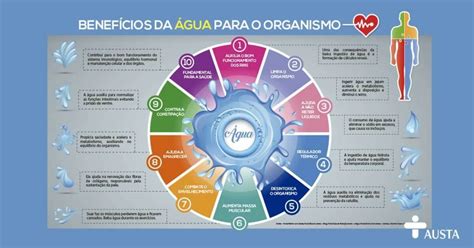 Benefícios da água para o organismo Infográfico