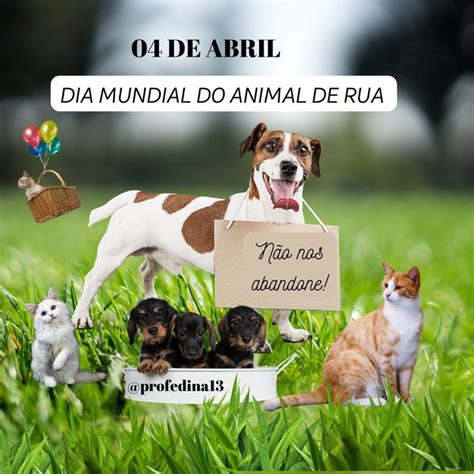 DIA MUNDIAL DOS ANIMAIS DE RUA