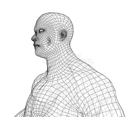 3d Wire Frame Human Body Stock Illustrations 695 3d Wire Frame Human