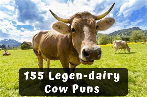 155 Best Cow Puns And Jokes That Are Simply Legen Dairy Artofit