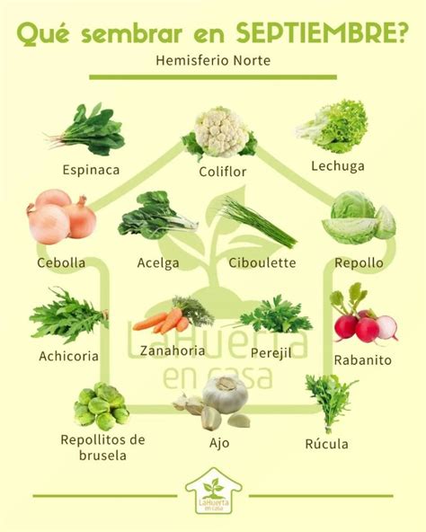 Calendario de siembra qué plantar en el huerto y el jardín en
