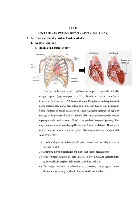 BAB II Kep Anak Bab 2 BAB II PEMBAHASAN PATENT DUCTUS ARTERIOSUS