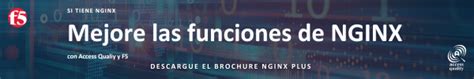 Qué es Nginx y Para qué sirve Access Quality