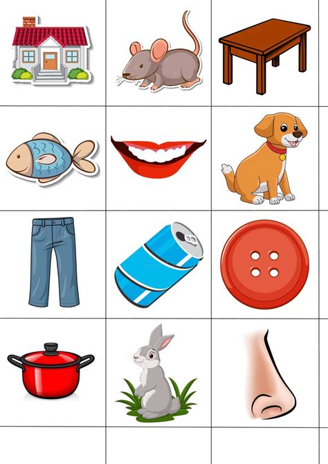 Begriffe Haus Maus Tisch Fisch Mund Hund Hose Dose Knopf Topf