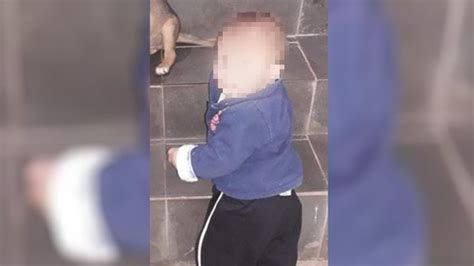 Pol Cia Apura Morte De Beb Encontrado Mordidas E Sinais De Estupro