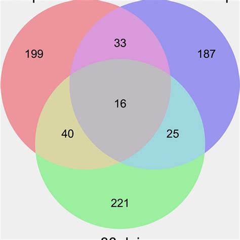 Venn Diagram Of The Differentially Expressed MRNAs At 12 Hpi 24 Hpi