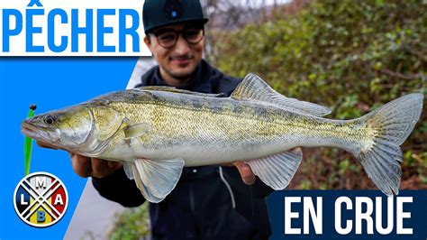 P Cher Ses Premiers Sandres Facilement En Crue P Che Au Leurre