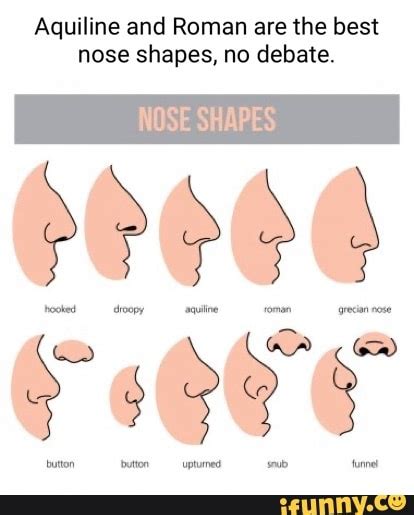 Aquiline And Roman Are The Best Nose Shapes No Debate Nose Shapes