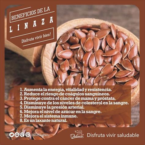 Linaza Propiedades Beneficiosas Para La Salud Cardiovascular