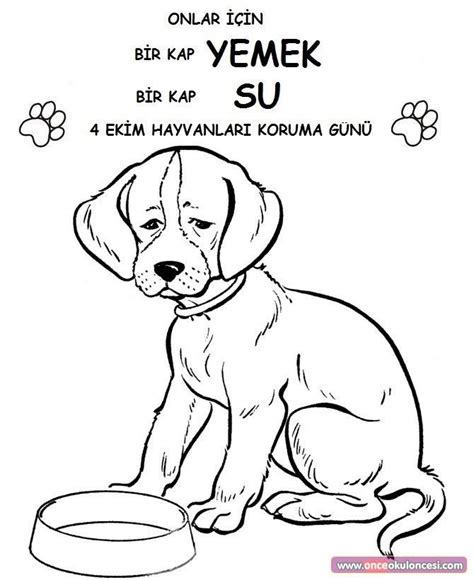 Hayvanları Koruma Günü Boyama Sayfası Hayvan sözleri Hayvan yüzleri