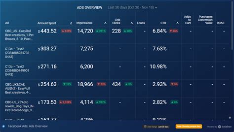 10 Steps To Create A Stunning Facebook Ads Report Template