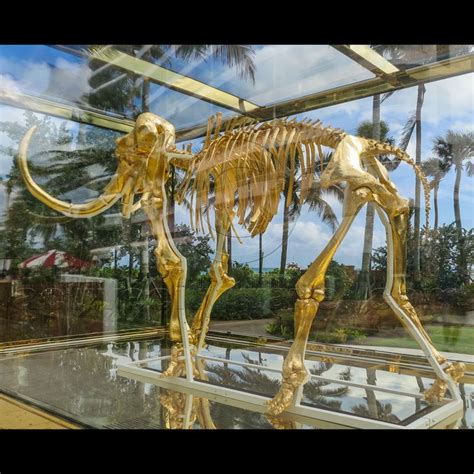 Gone But Not Forgotten Faena Hotel Miami Faena Hotel Wooly Mammoth