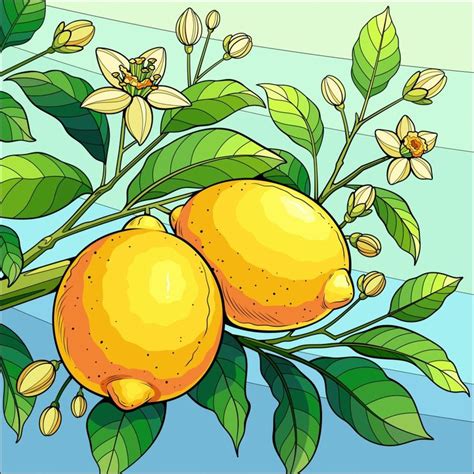 Pin By Connie Witherell On SUMMERTIME In 2024 Drawings Coloring