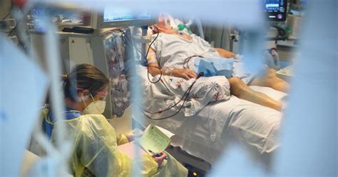 Covid I Dati 24 259 Nuovi Contagi E 97 Decessi Crescono Ricoveri