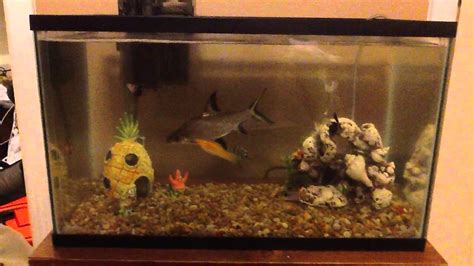 10 Gallon Fish Tank Hetyarmor