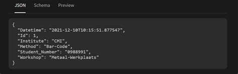 Error System Text Json JsonException The JSON Value Could Not Be