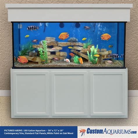 65 Gallon Glass Aquarium Atelier Yuwa Ciao Jp