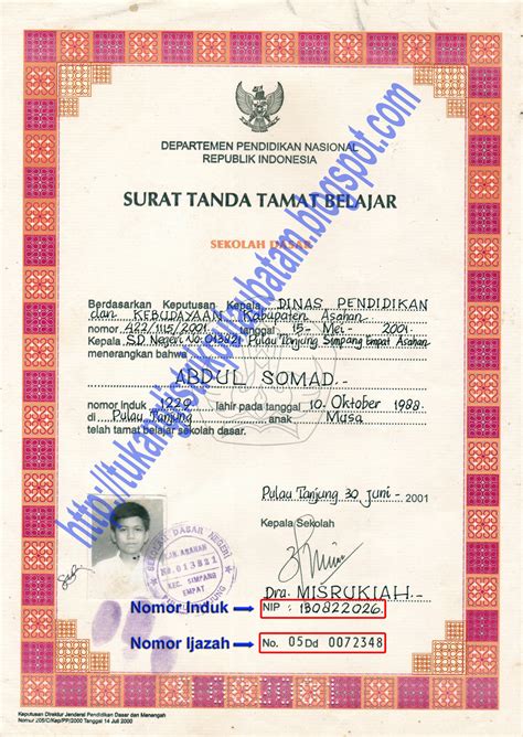 Letak Nomor Ijazah Satpam Letak Nomor Seri Ijazah Dan Tahun Kelulusan