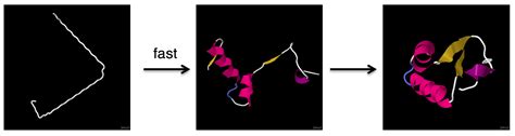 Framework Model Of Protein Folding
