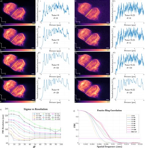 analysis of the impact of the simulated noise and bm3d denoising on the download scientific